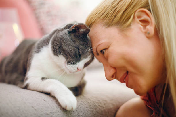 Why Cats Make Great Pets – Feline Futures Care Foundation